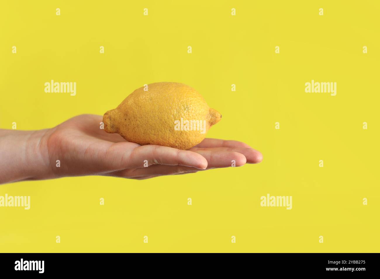 Ripe lemon in a female hand on a yellow background. Close-up of a hand ...
