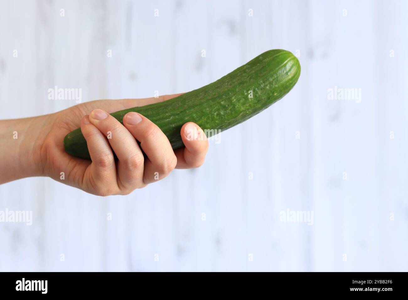 Ripe cucumber in a female hand on a light wooden background. Close-up ...