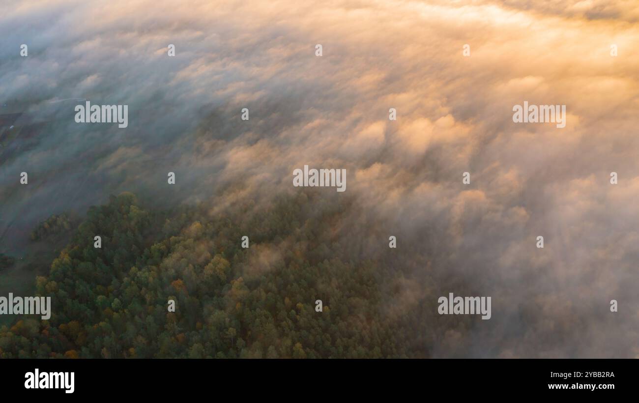 Autumnal equinox. Deforestation. Aerial view of autumn morning forest ...