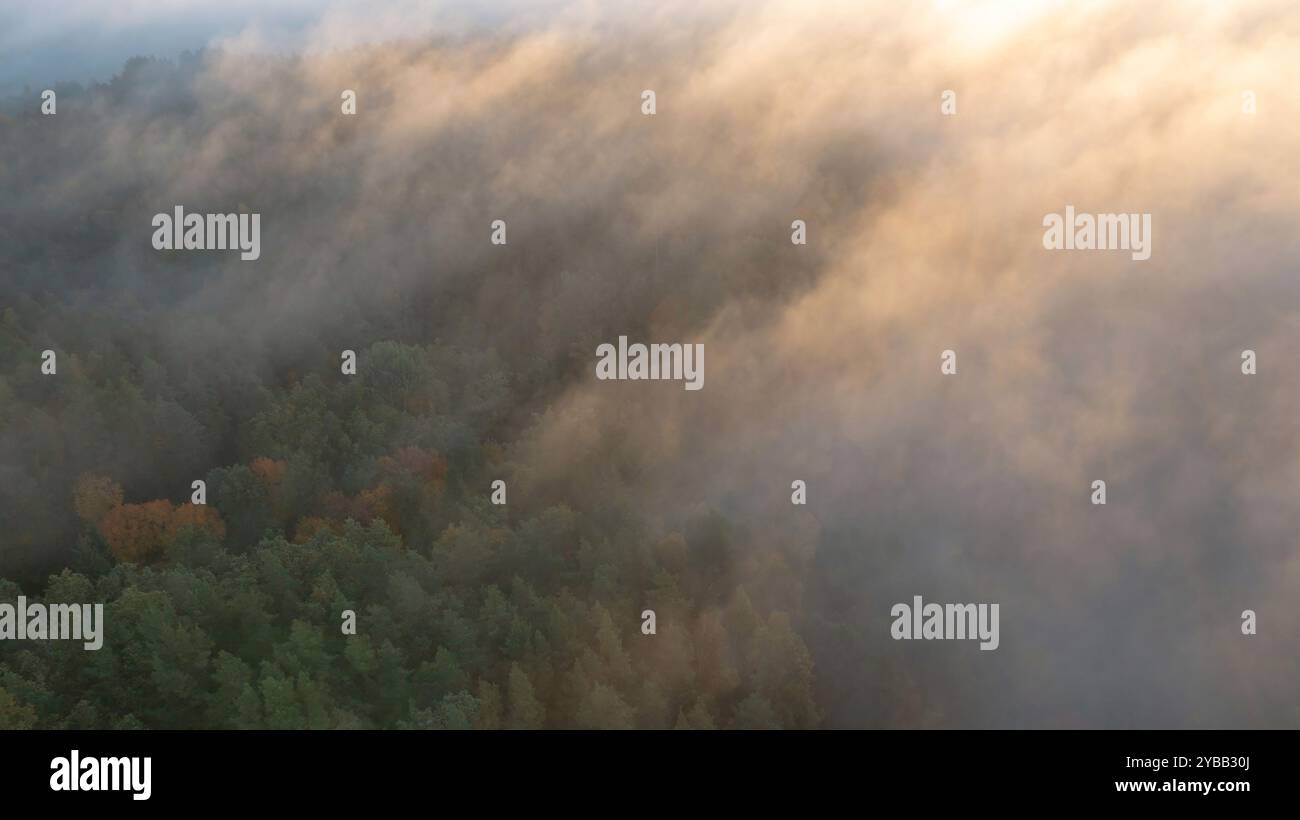Autumnal equinox. Deforestation. Aerial view of autumn morning forest ...