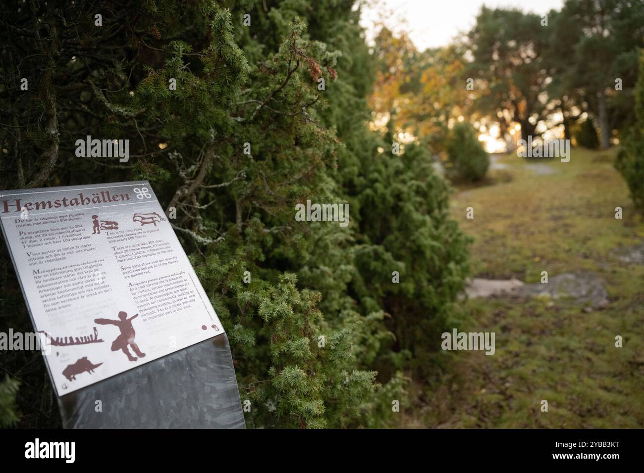 An archaeological sensation has been deciphered on a Bronze Age stone ...