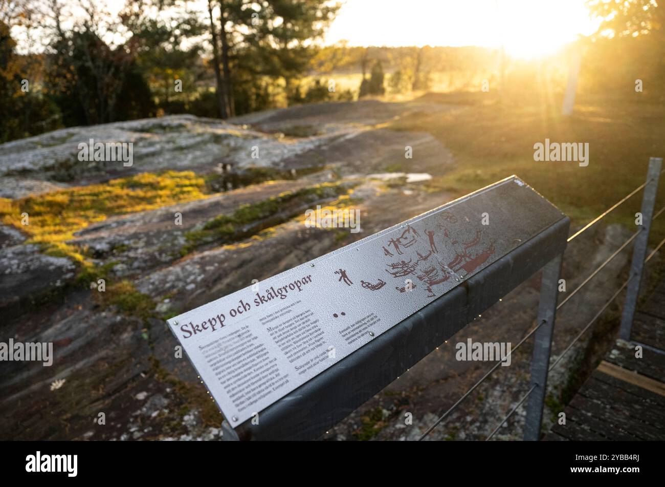 An archaeological sensation has been deciphered on a Bronze Age stone ...