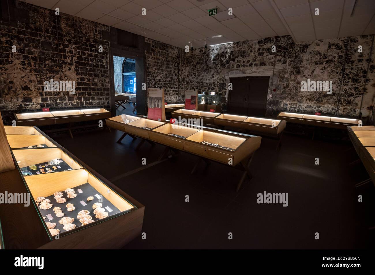 Museum, Ausstellung World of Seashells , Bel Ombre, indischer Ozean ...