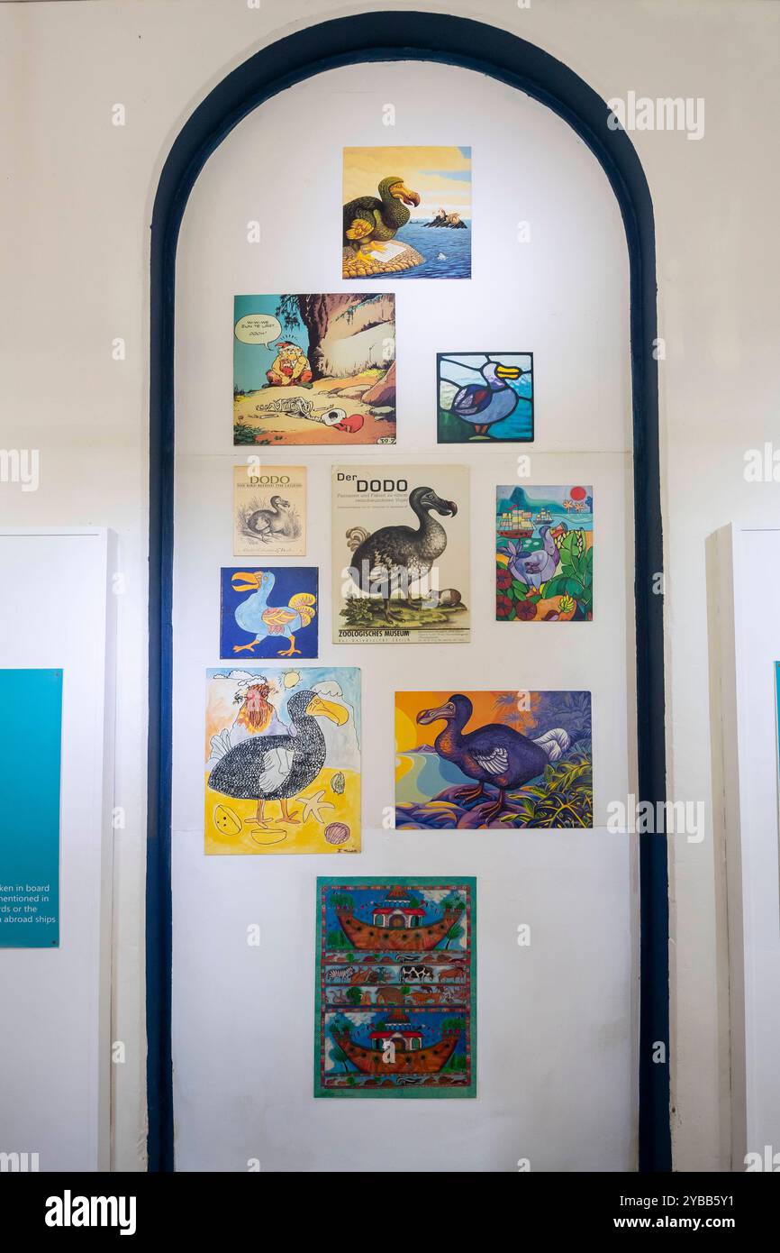 Dodo oder auch die Dronte, seltener Doudo oder Dudu Raphus cucullatus ...