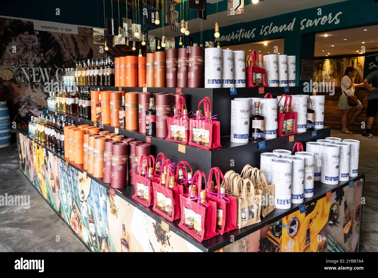 Rum aus Zuckerroher, Saccharum officinarum, Zuckermusem, L Aventure du ...