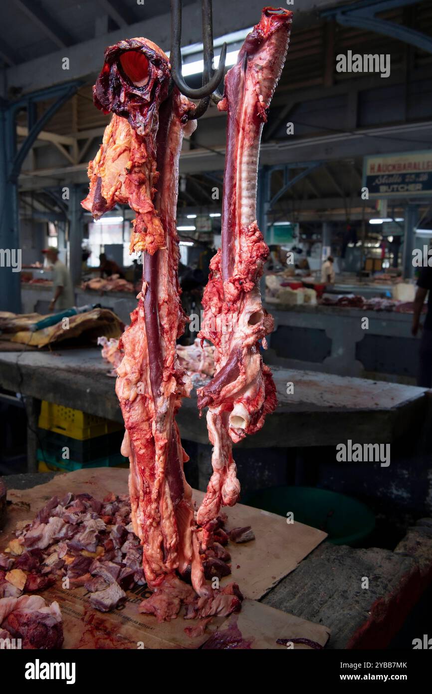 Markt, Halle für Fleisch, Port Louis, indischer Ozean, Insel, Mauritius ...