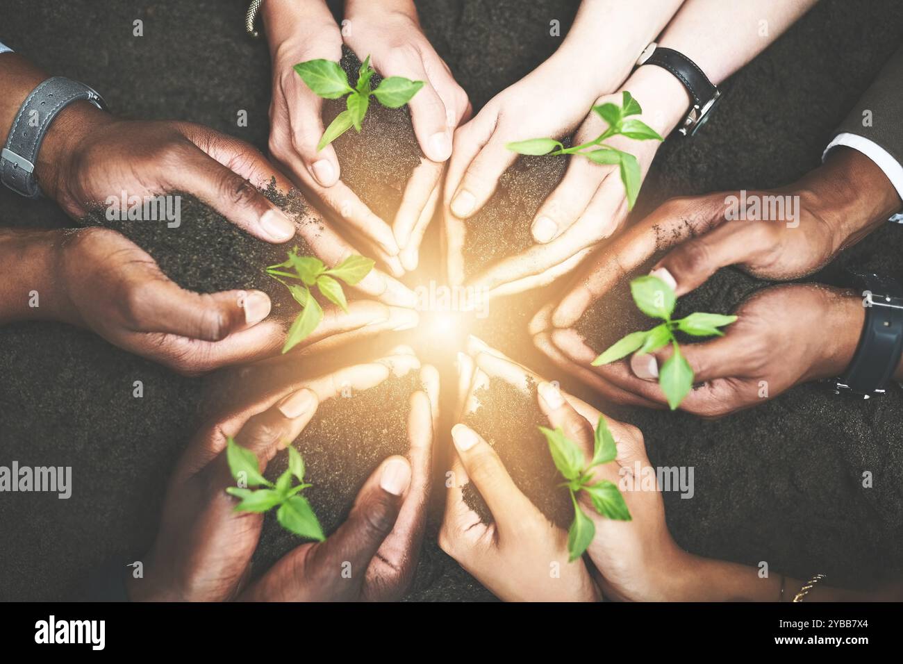 Business people, hands and soil for earth in nature, above and help in ...