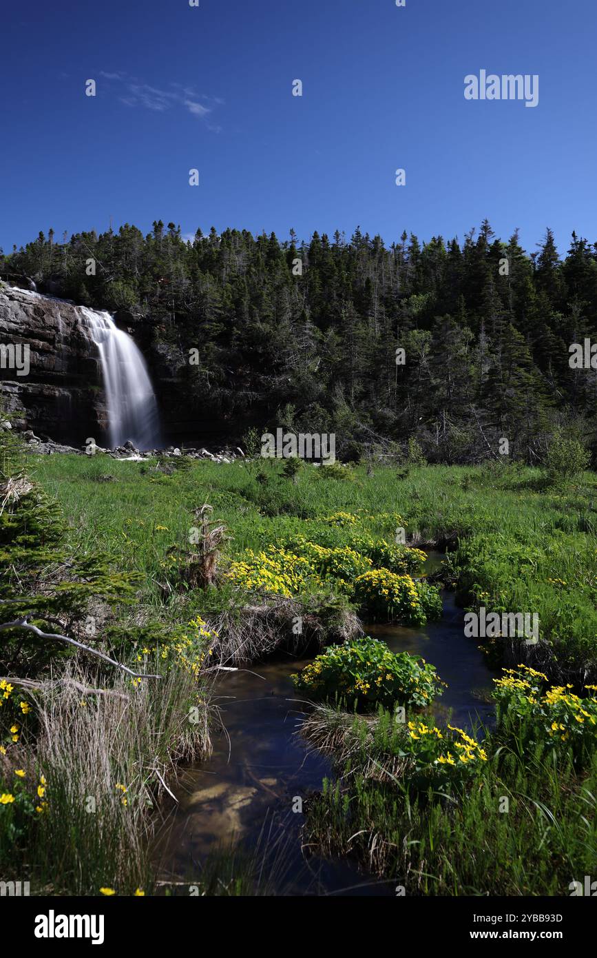 Hidden Falls, Sheaves Cove, Newfoundland and Labrador NL, Canada Stock ...