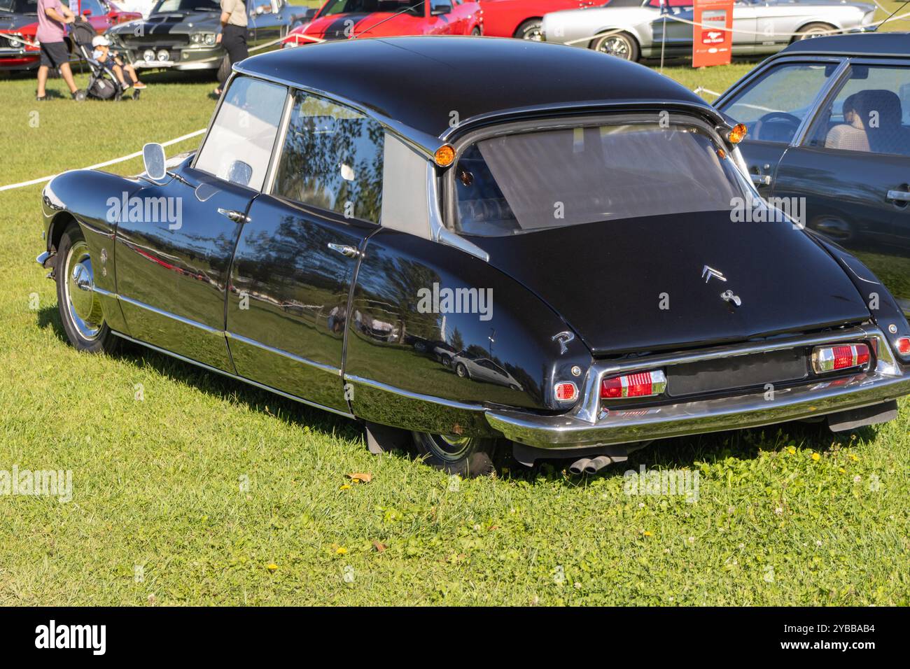 Classic black citroen ds with chrome accents is glistening in the ...