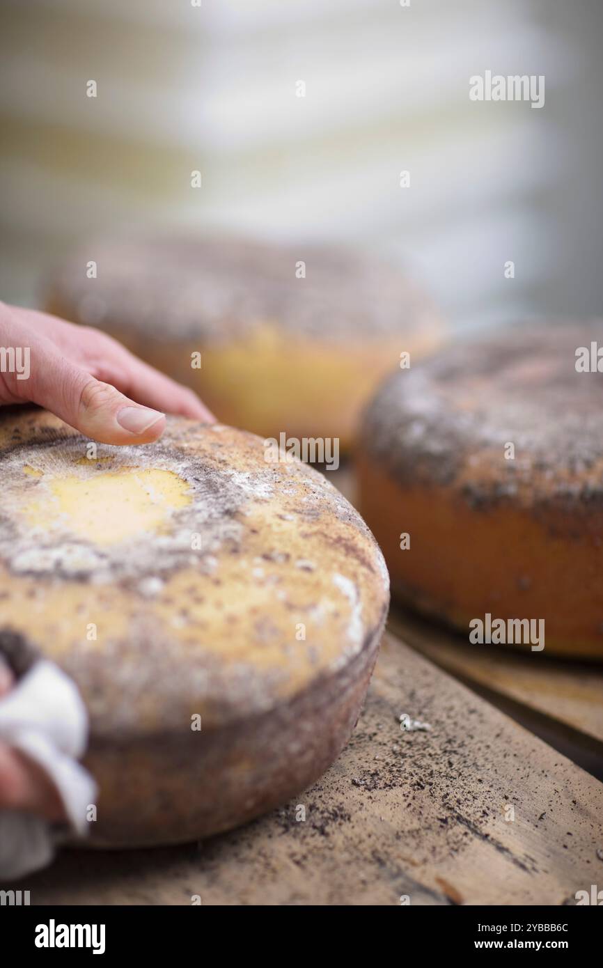 Hand holding a cheese cloth hi-res stock photography and images - Alamy