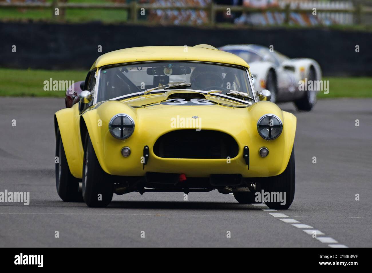 Simona de Silvestro, Nick Sleep, AC Cobra, Royal Automobile Club TT ...