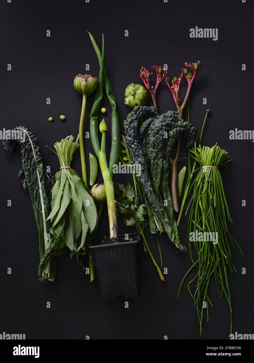 Flat lay dramatic still life arrangement of green vegetables on black ...