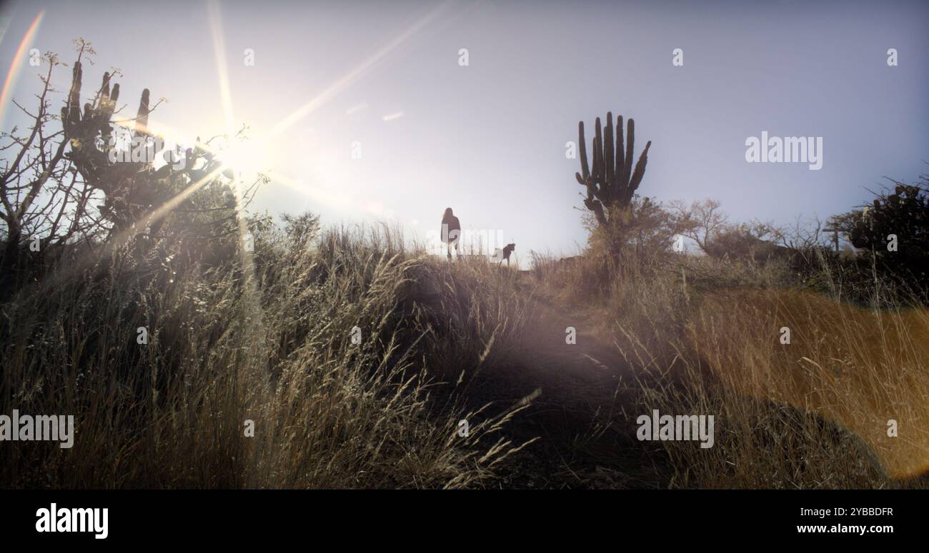 Planta r hi-res stock photography and images - Alamy