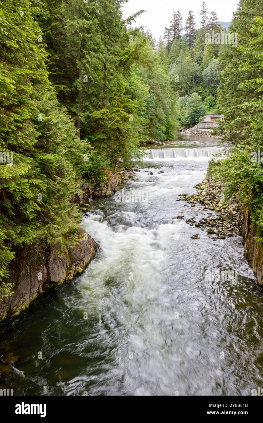 A fast-flowing river in a forested area near Cleveland Dam in North ...
