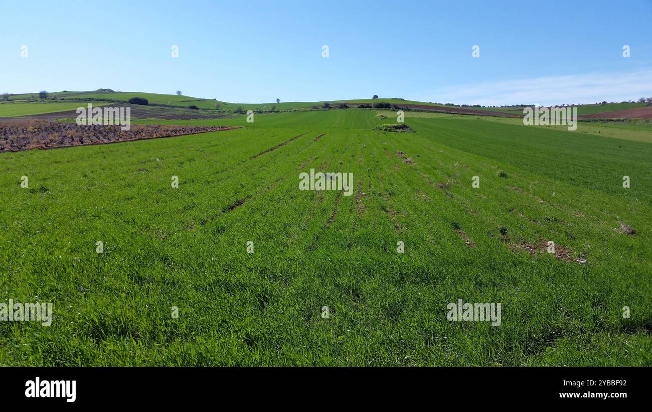 The beautiful natural Meadow landscape in Cyprus Stock Photo - Alamy