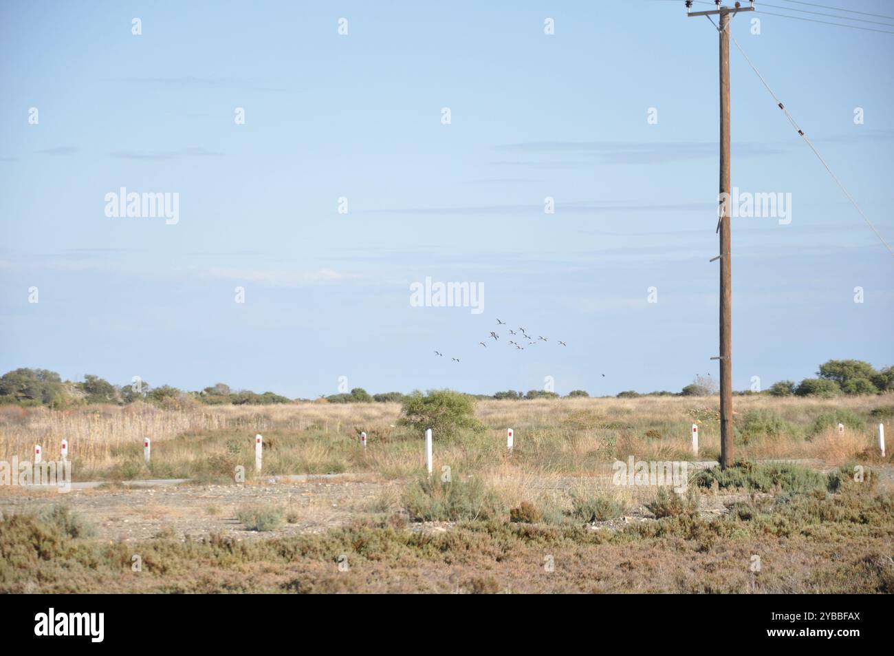 The beautiful natural Meadow landscape in Cyprus Stock Photo - Alamy