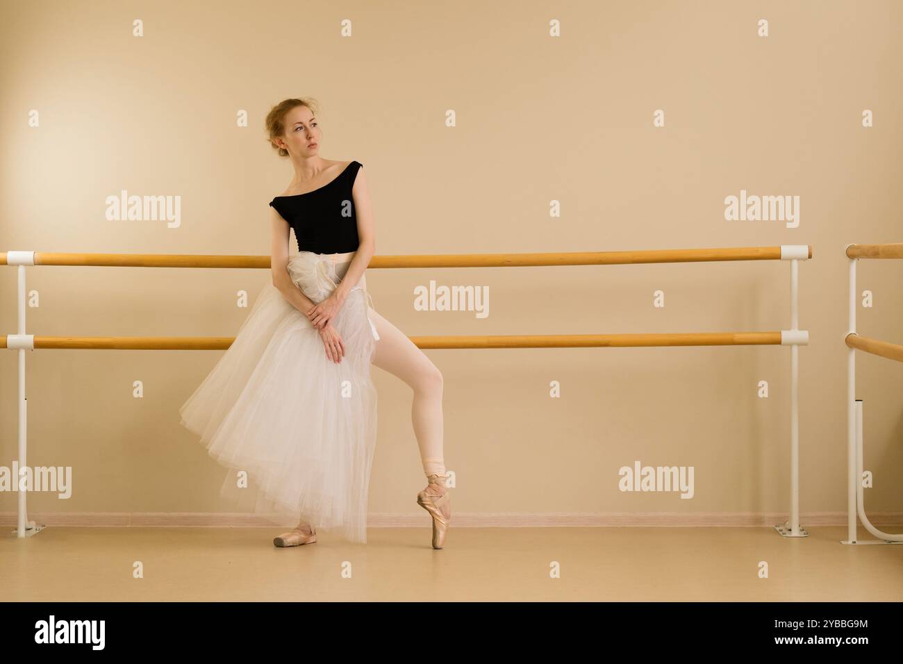 A ballet dancer poses elegantly in a studio, showcasing grace and poise ...