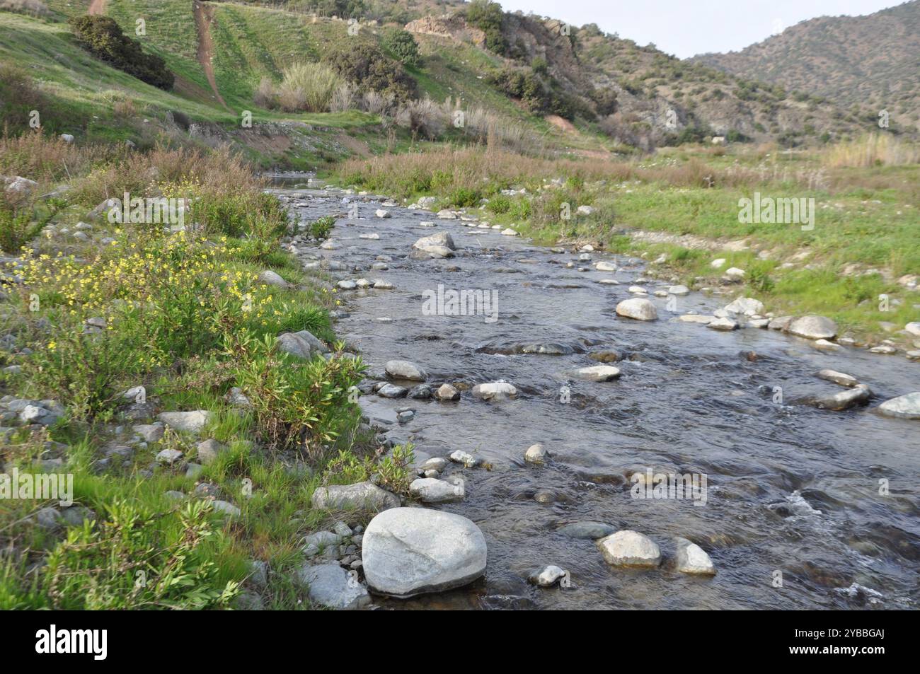 The beautiful natural River in Cyprus Stock Photo - Alamy