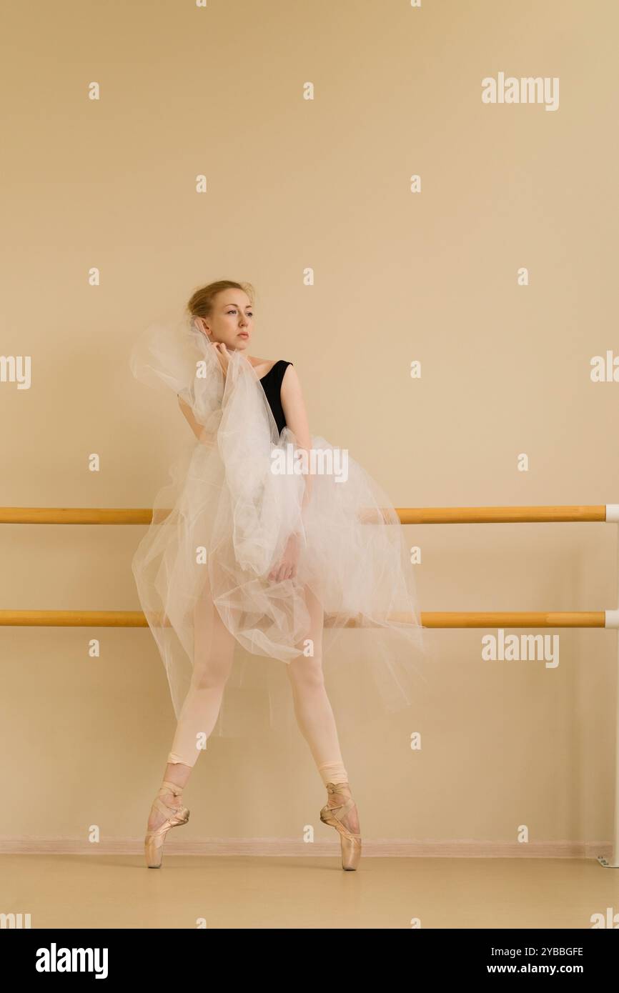A ballet dancer poses elegantly in a dance studio, draping tulle ...