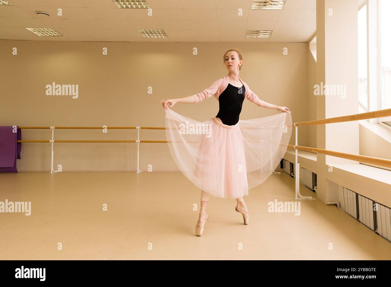 Ballet dancer lifting her tutu skirt, standing en pointe, in a poised ...