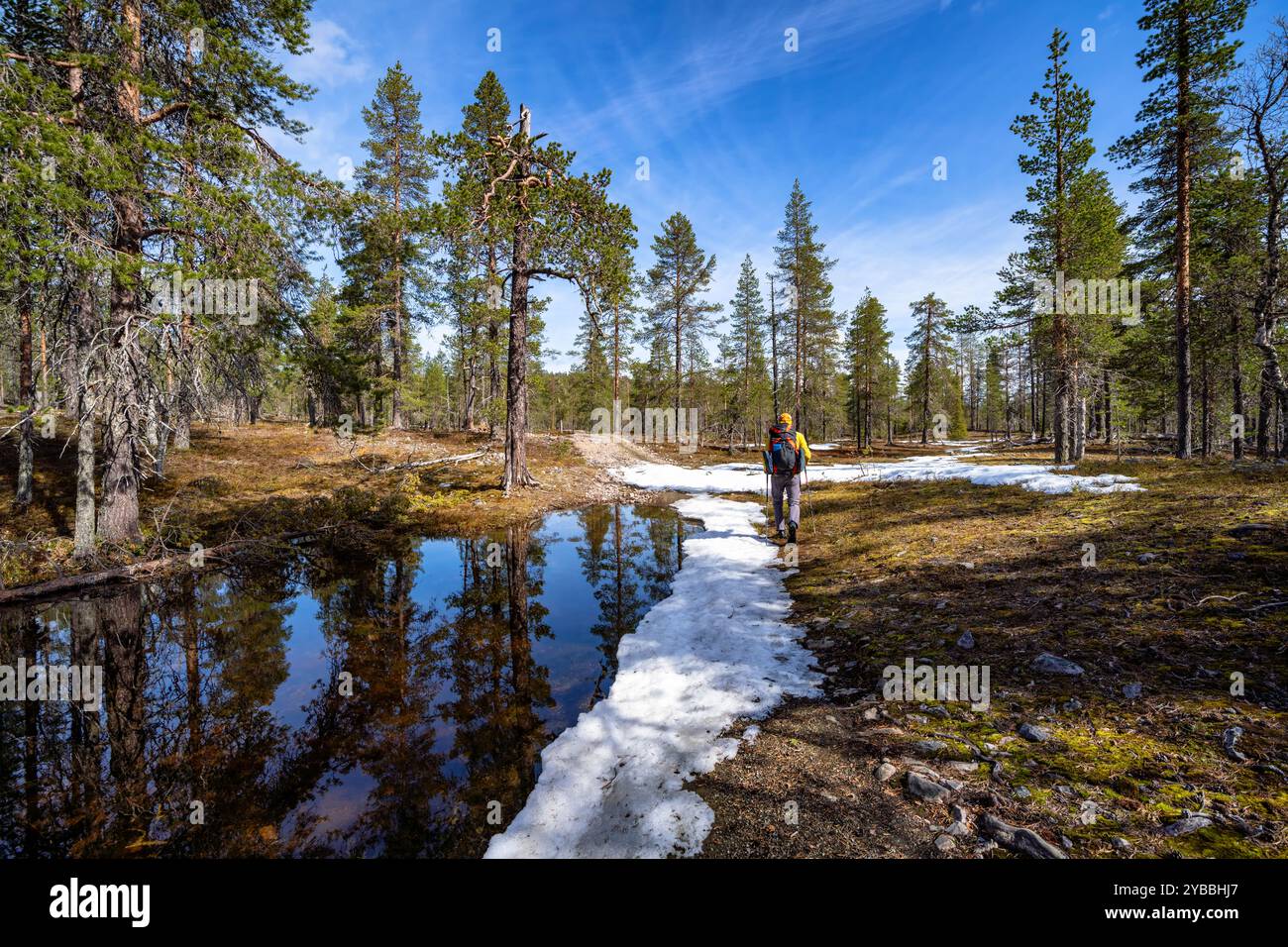 Hiking in Pallas-Yllästunturi National Park, Kolari, Lapland, Finland ...