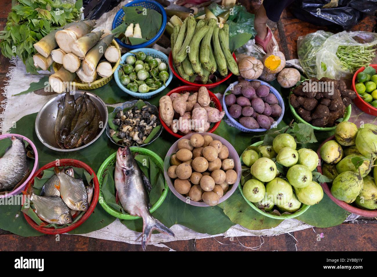 Assorted fresh vegetables, fruits and fish for sale at Boeng Keng Kang ...