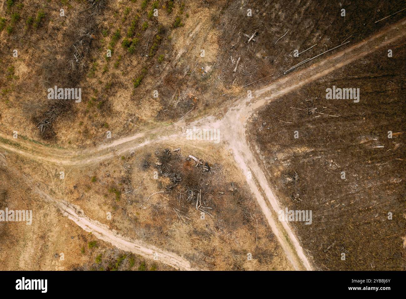 Aerial View Of Crossroads At Deforestation Area. Forest Deforestation ...