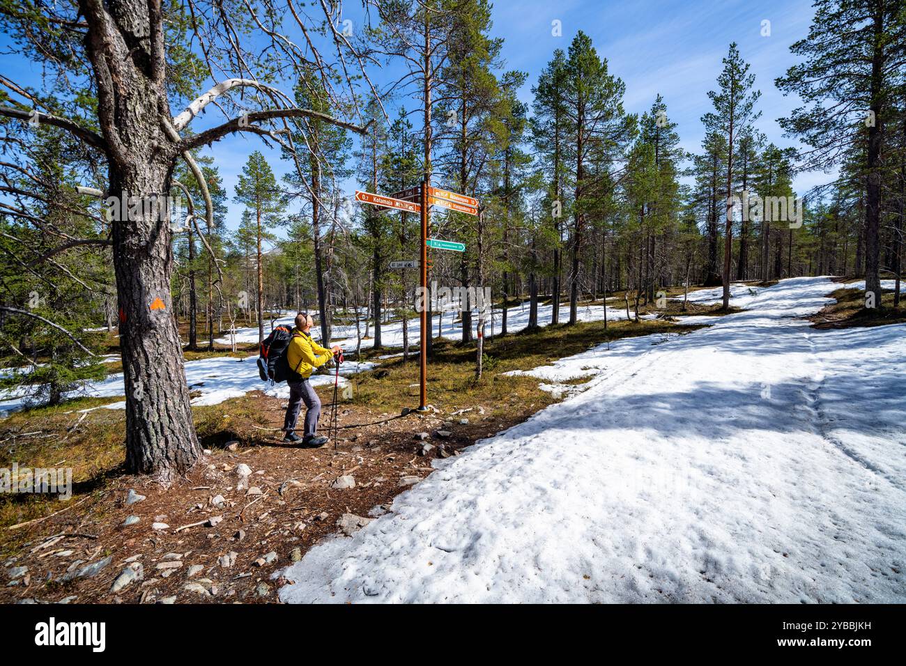 Hiking in Pallas-Yllästunturi National Park, Kolari, Lapland, Finland ...