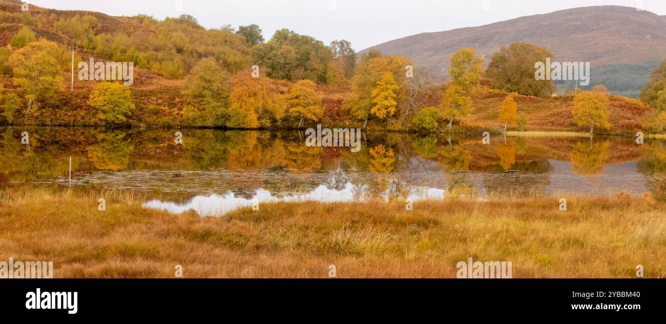 Small scottish loch surrounding by trees with beautiful reflection and ...
