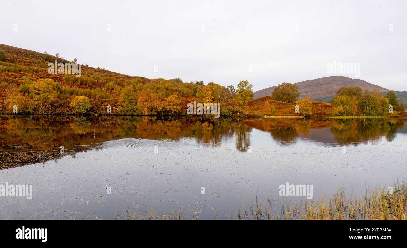 Small scottish loch surrounding by trees with beautiful reflection and ...