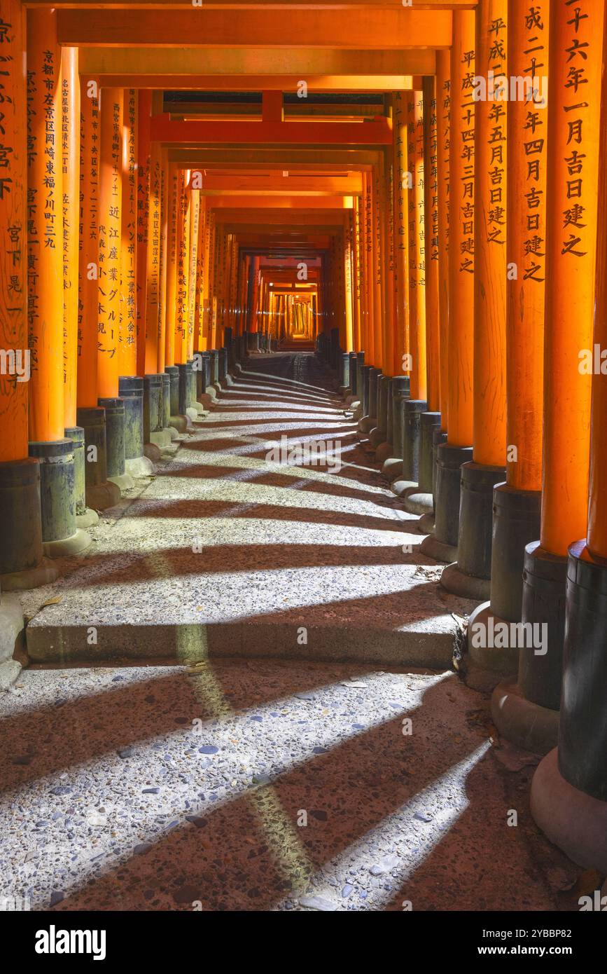 Pathway of Torii Gates Leading to Serenity Stock Photo - Alamy