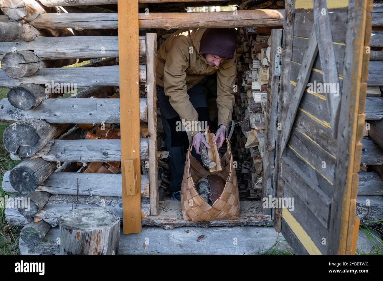 Man piling dry split firewood to basket Stock Photo - Alamy