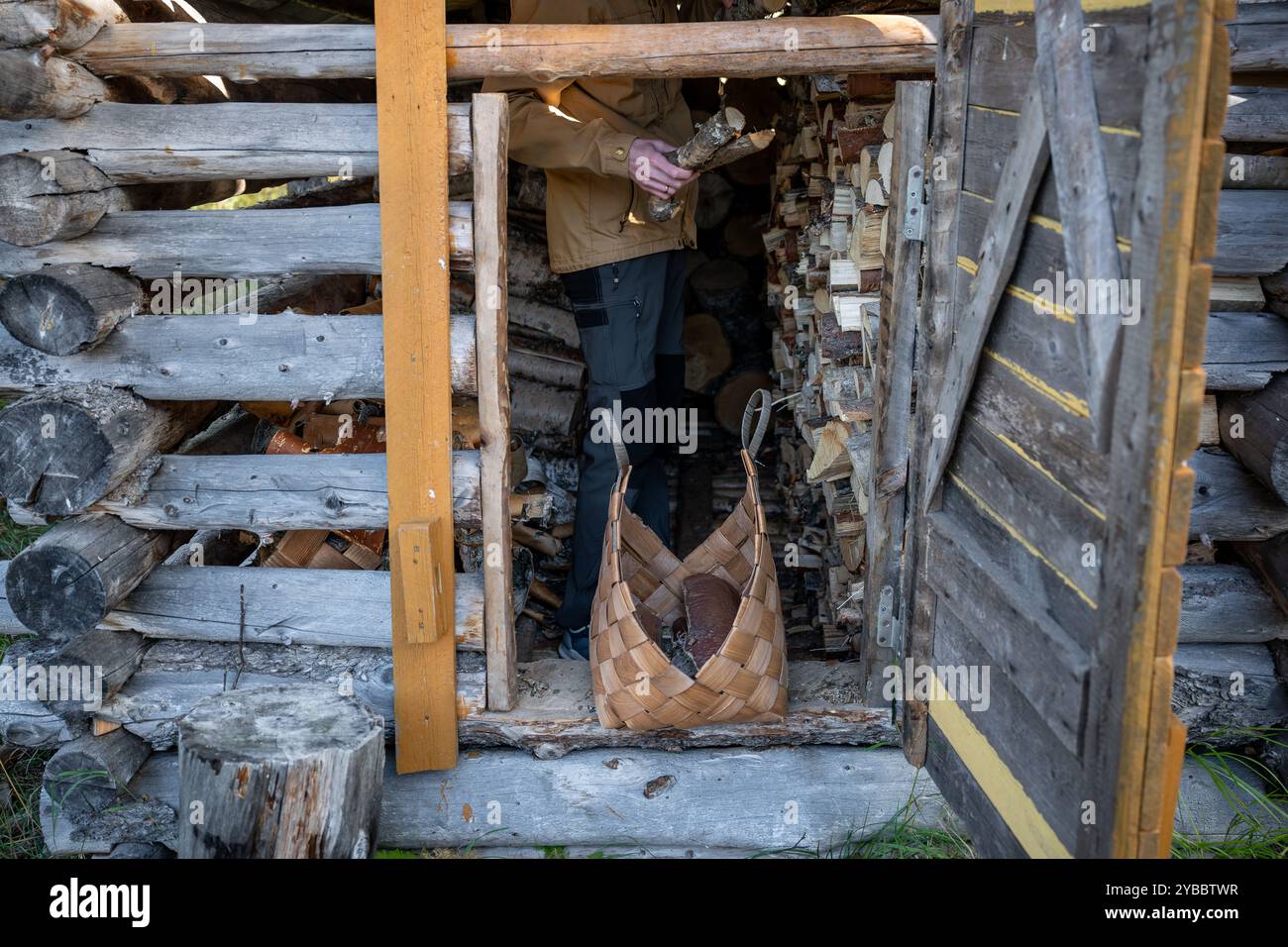 Man piling dry split firewood to basket Stock Photo - Alamy