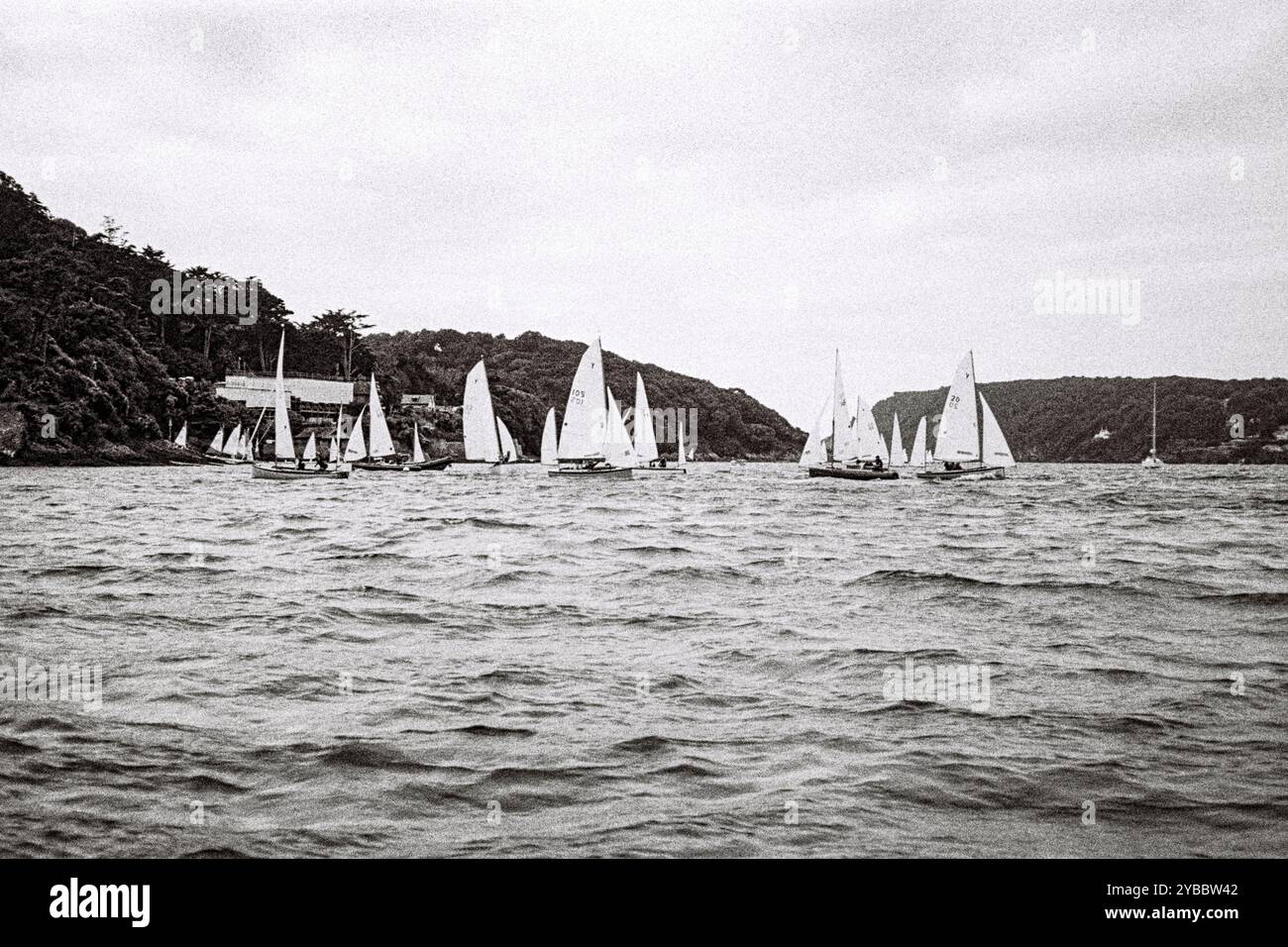 Sailing Regatta, Salcombe, Devon, England , United Kingdom Stock Photo ...
