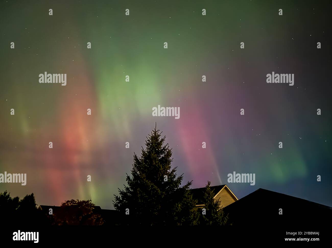 Colorful Aurora Borealis Northern Lights in night sky in Canada Stock ...