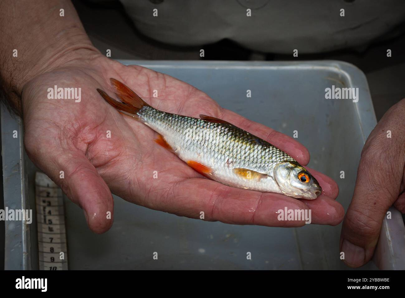 Xge symbol hi-res stock photography and images - Alamy