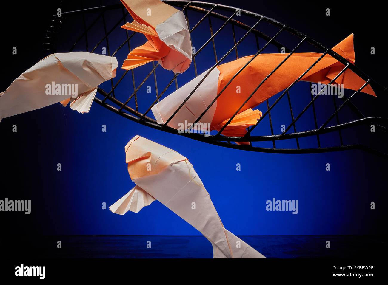 Origami fish swimming around a barbequing rack Stock Photo - Alamy