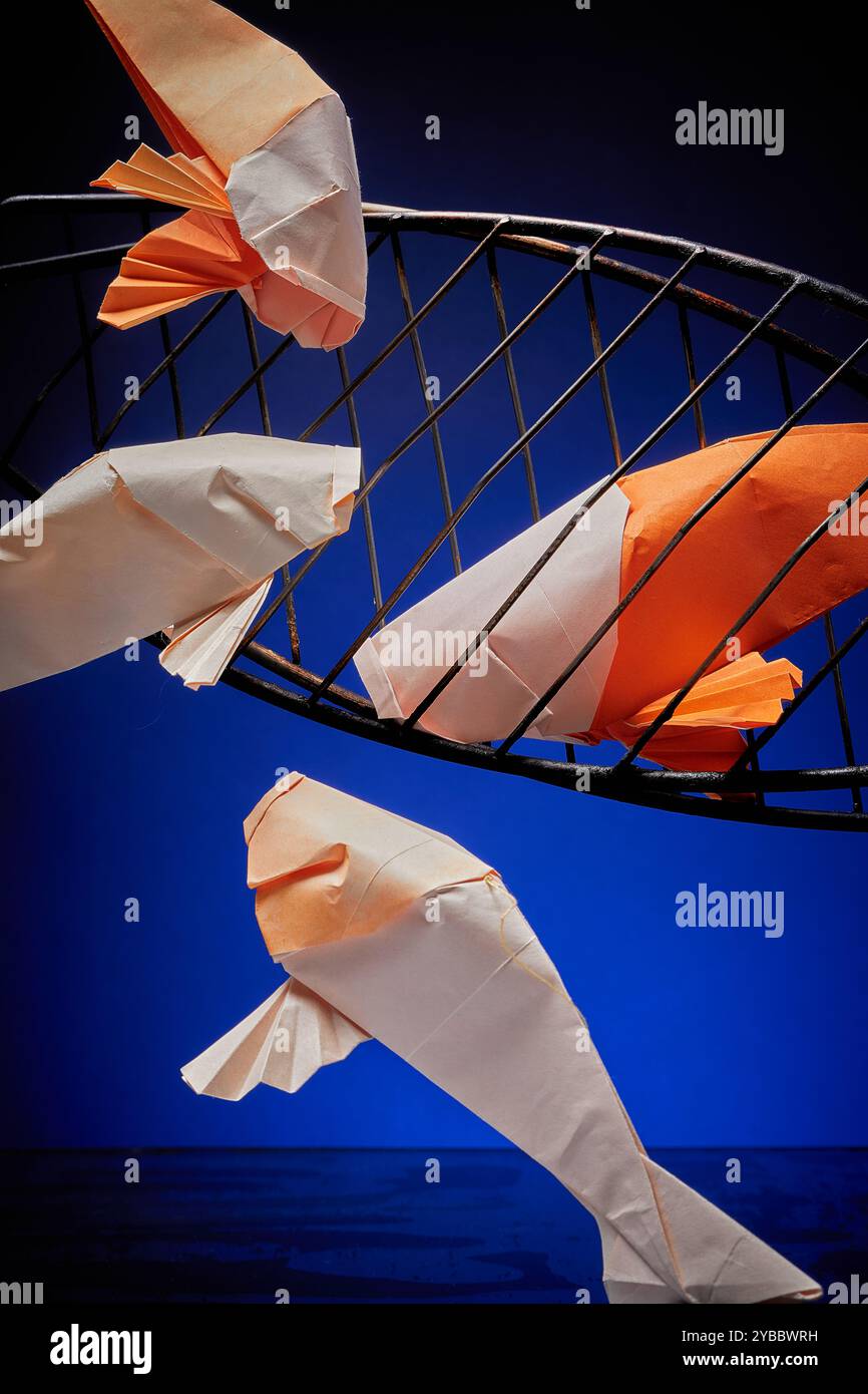 Origami fish swimming around a barbequing rack Stock Photo - Alamy