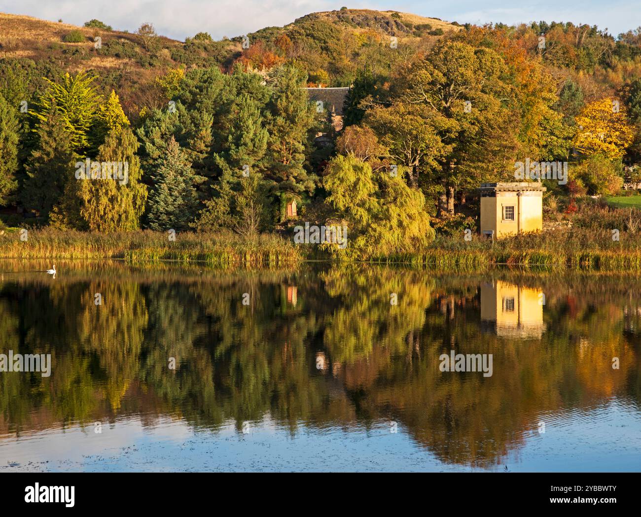 2024 thomsons tower hi-res stock photography and images - Alamy
