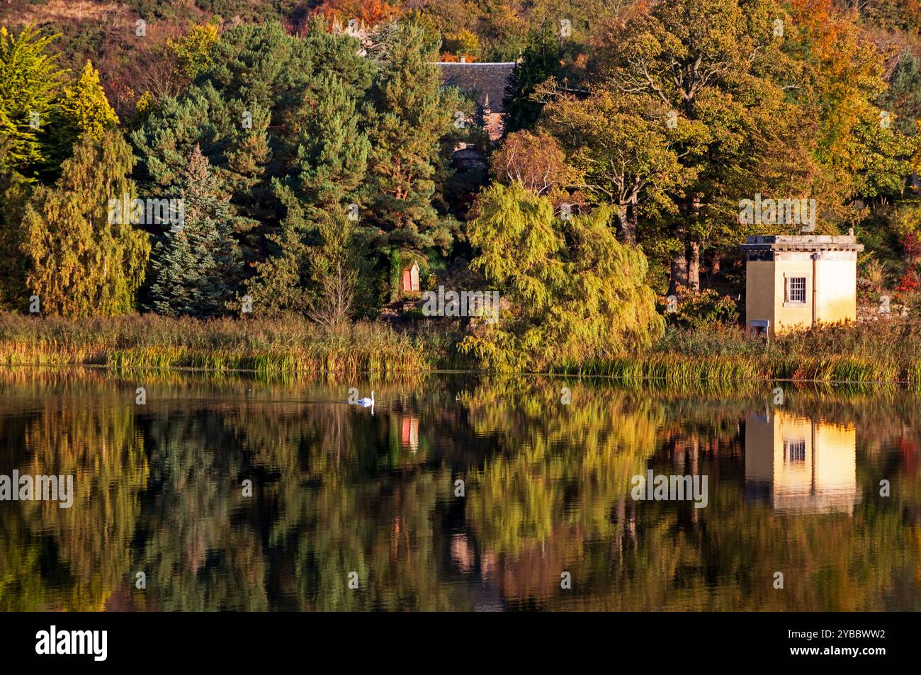 2024 thomsons tower hi-res stock photography and images - Alamy