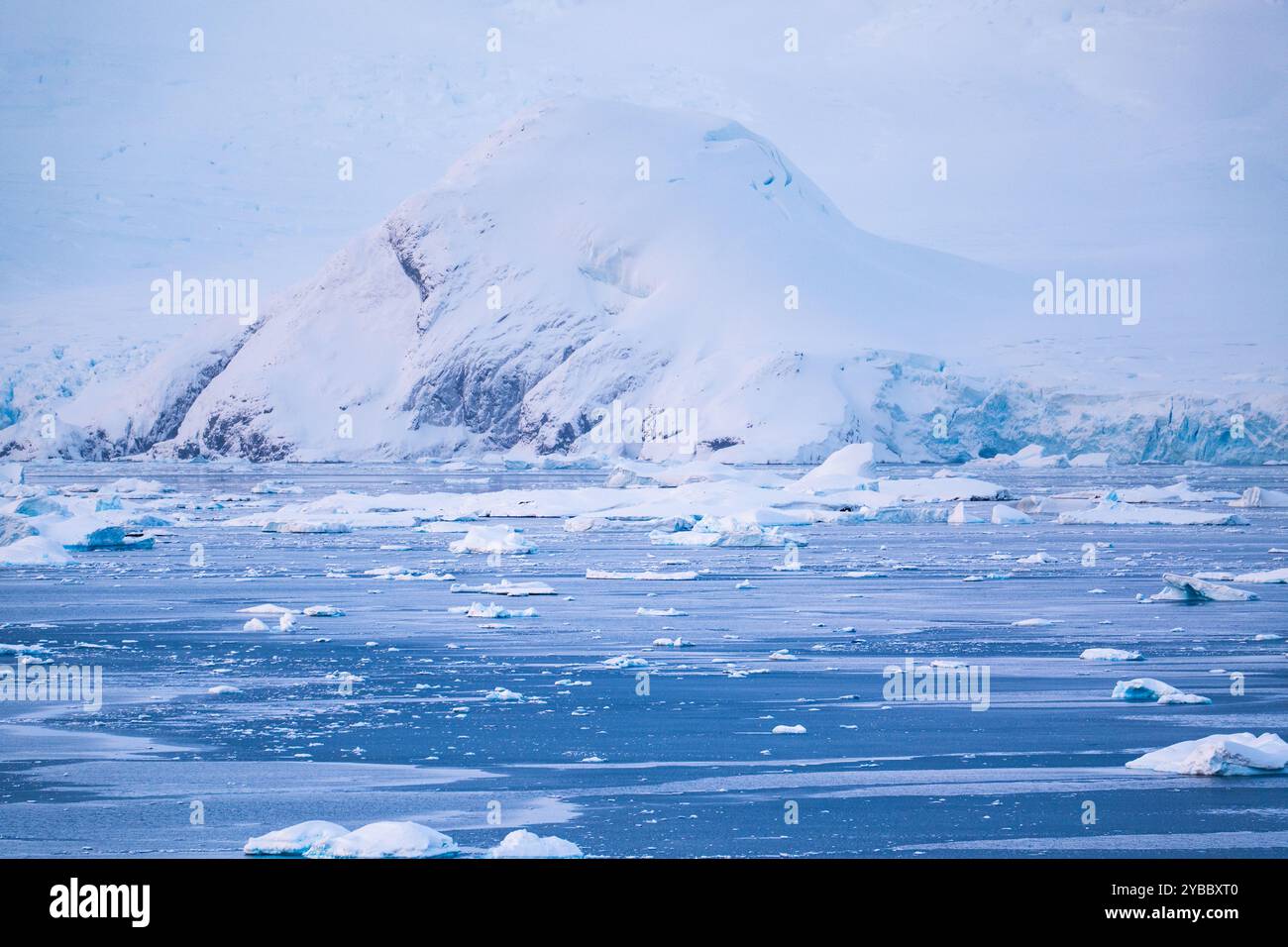 Antarctica view. Seascape and landscape of Antarctica. Glaciers Stock ...