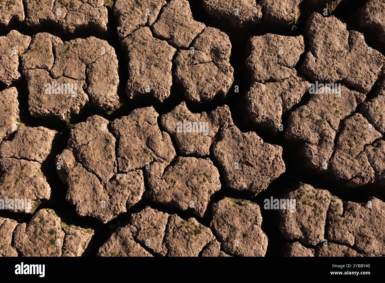 Cracks in the earth from a drought-ridden swamp Stock Photo - Alamy