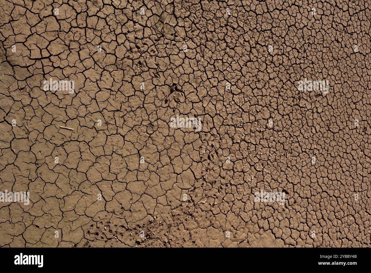 Cracks in the earth from a drought-ridden swamp Stock Photo - Alamy