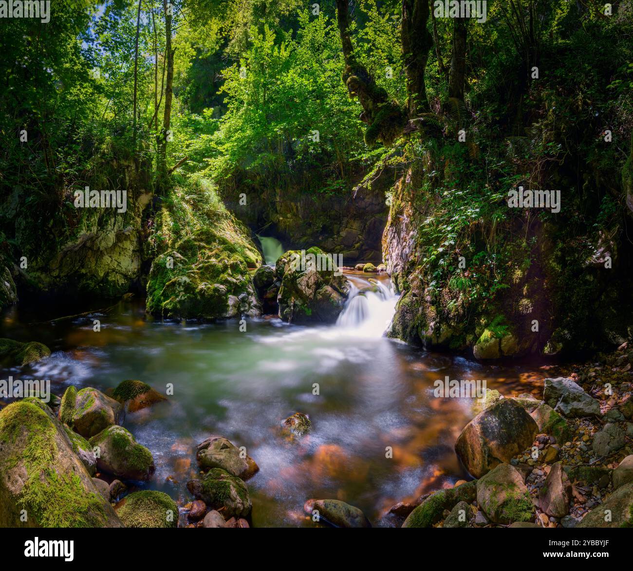 river crossing a forest with small waterfalls and ending in a pond ...