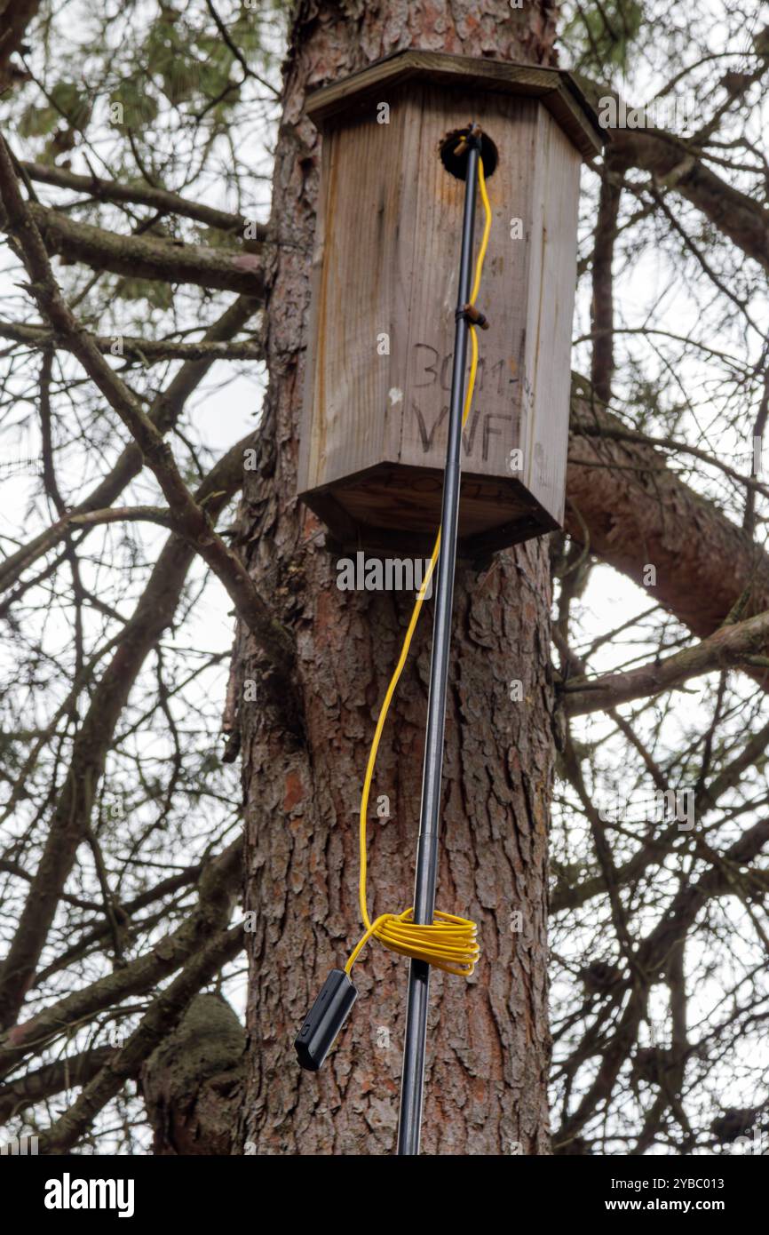 Monitoring a nest box high up on a tree using a camera. Colombiers ...