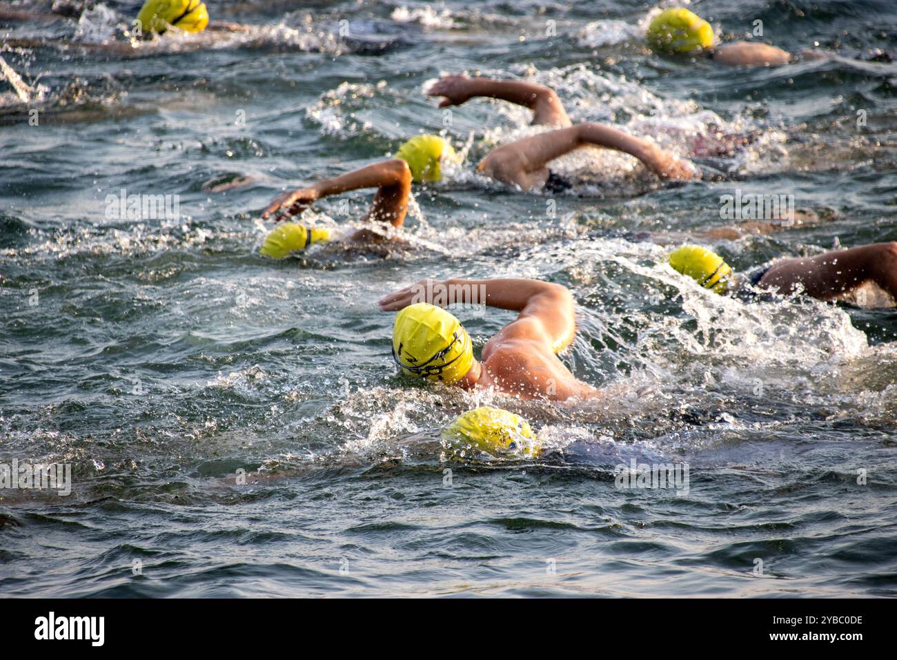 Triathletes swimming in open water, wearing yellow swim caps Stock ...