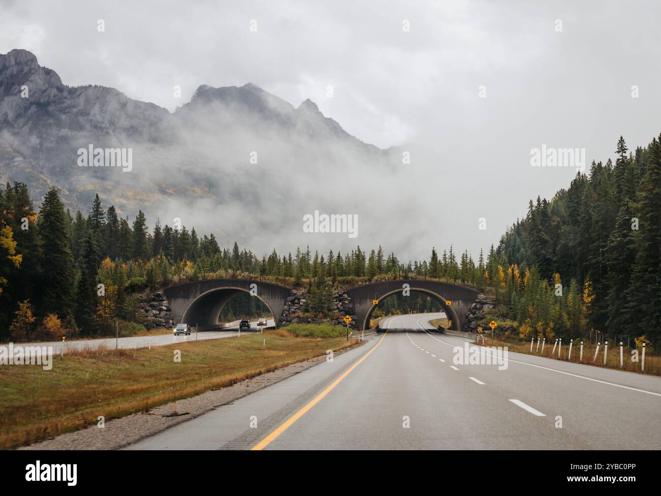 Wildlife crossing over highway through Banff National Park, Canada ...