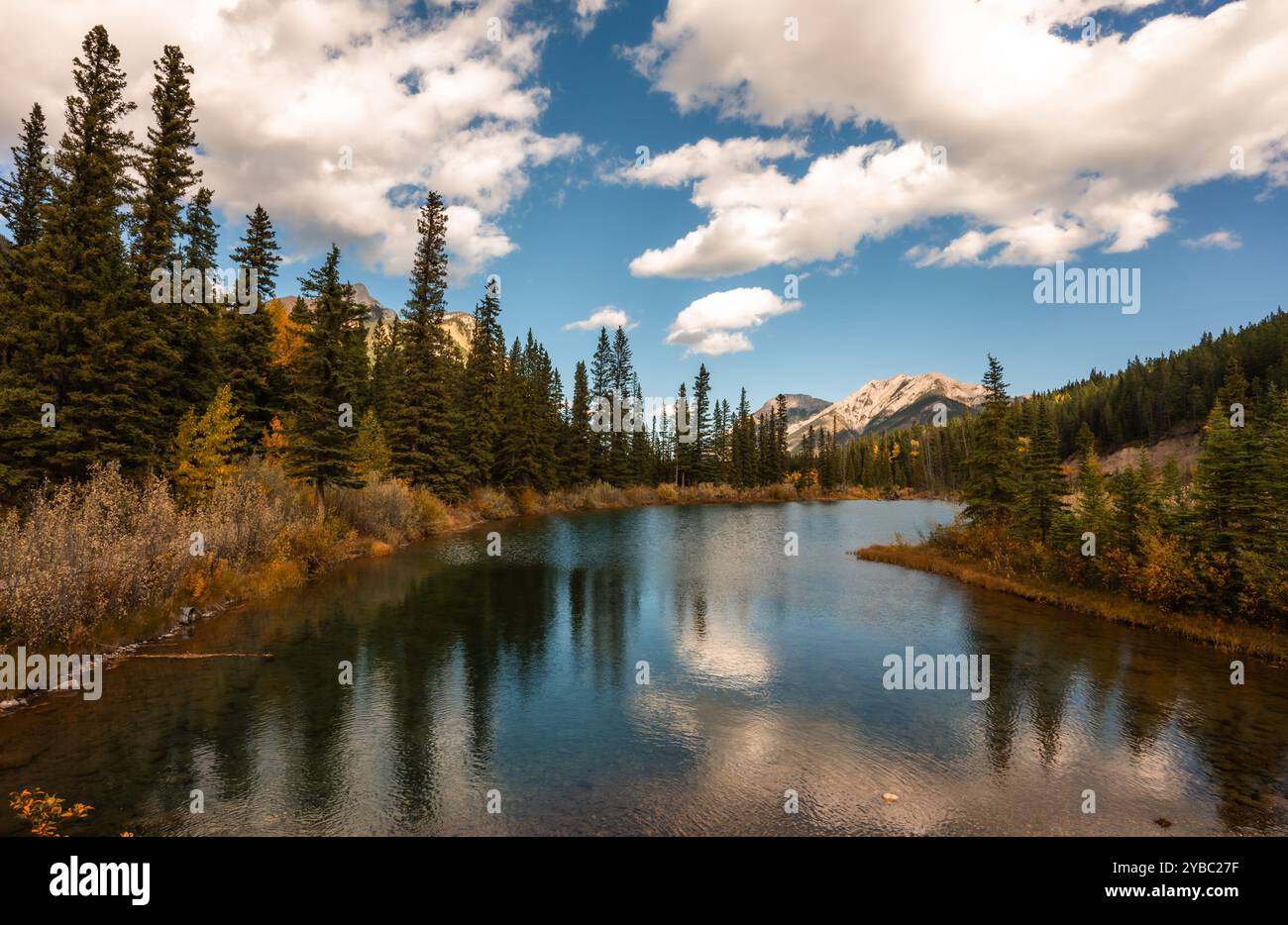 River running through mountain and forest region in Alberta Stock Photo ...