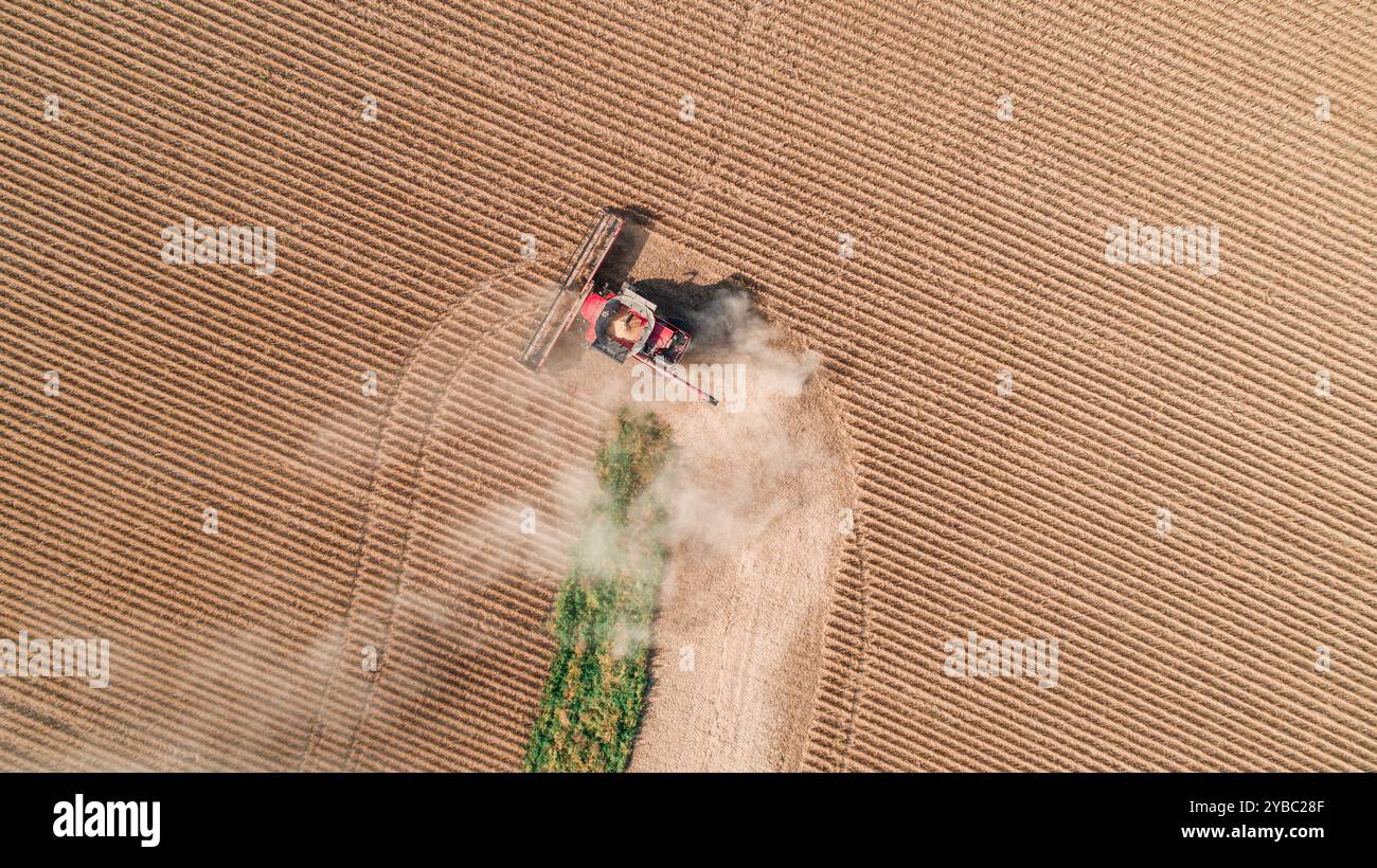 Field green beans crops agriculture hi-res stock photography and images ...