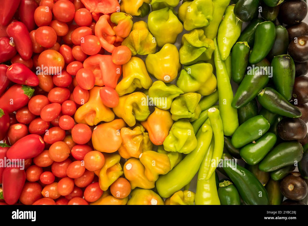 Handpicked green vegetables hi-res stock photography and images - Alamy